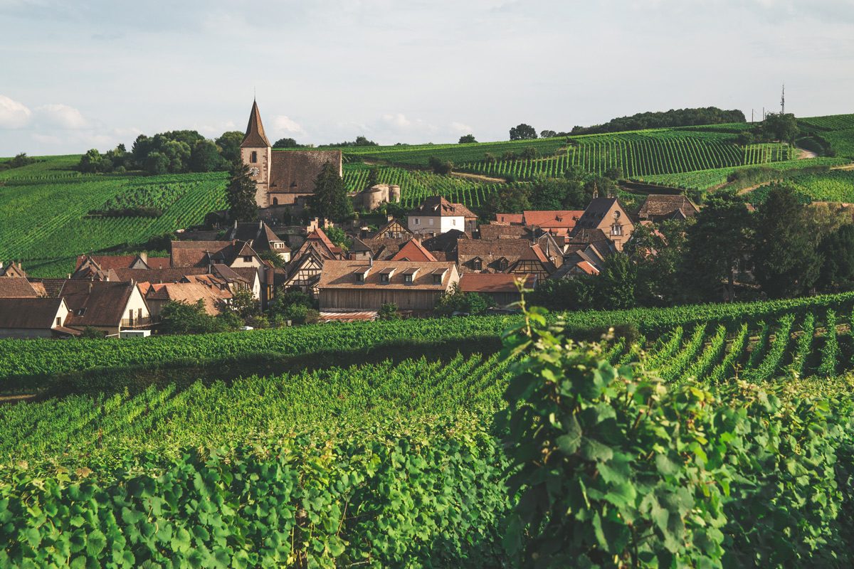 french-wine-regions - French Promise by Kairos Travel